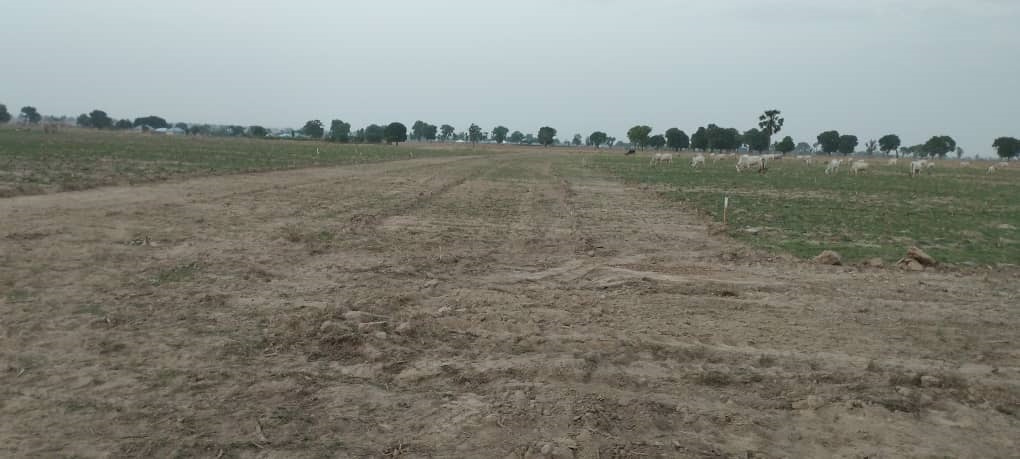 Basawa Project Site – Maslaha Homes